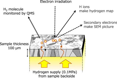 Schematic Diagram Of Experiment Set Up Of Operando Hydrogen Microscope