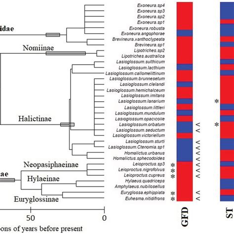 modular matrix version of the plant pollinator interaction network download scientific diagram