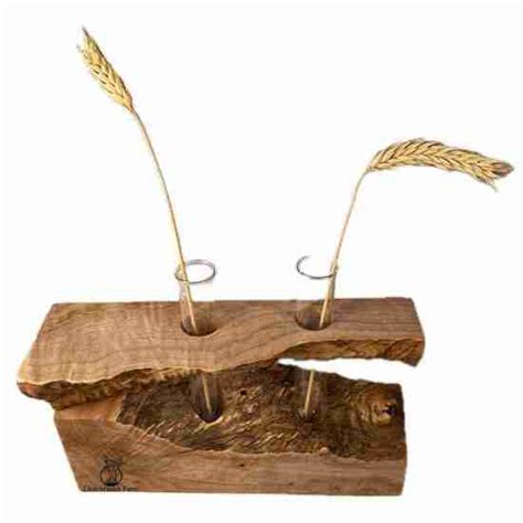 Live Edge Propagation Station Littlebranch Farm