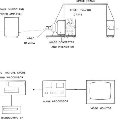 Schematic Diagram Of The System Download Scientific Diagram