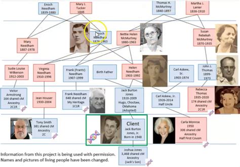 Dna Basics Part Ii Clustering And Connecting Your Dna Matches