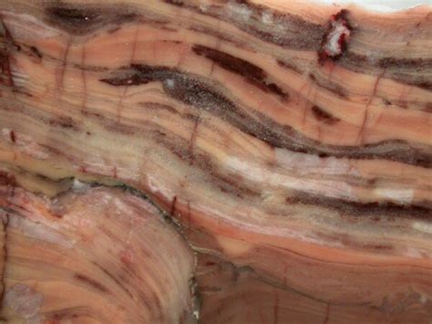 Girvanella Proterozoic Stromatolites