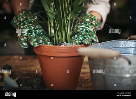 Flowers And Plants Turn Every House Into A Home An Unrecognizable