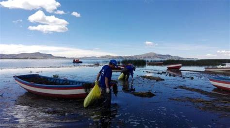 Recogen 18 Toneladas De Basura De Afluente Del Lago Titicaca Peru