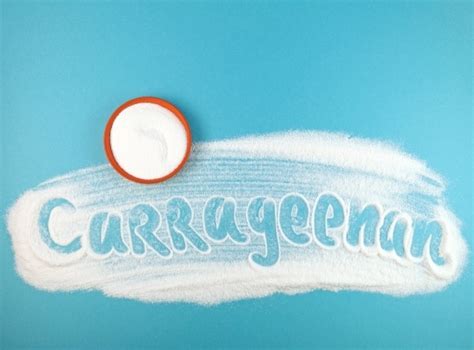 Carrageenan Supplier Polysaccharide Food Additive Ettlinger Corporation