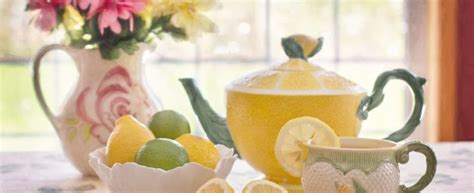 Le Citron Un Aliment Aux Multiples Vertus