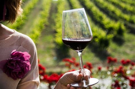 Premium Photo Close Up Of Woman Holding Wine Glass