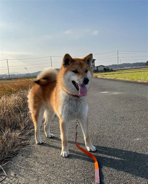 いい天気になりました 沼から出られない