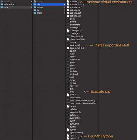 Comprehensive Django Setup Guide Part I Blog