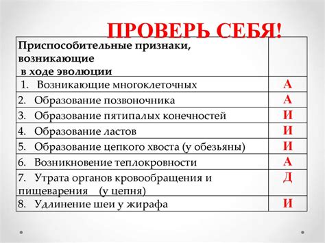 Основные направления эволюции презентация онлайн