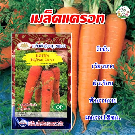 เมล็ดแครอท ชินคูโรดะ Carrot เมล็ดพันธุ์แครอท แครอท เมล็ดผักสวนครัว ตรา
