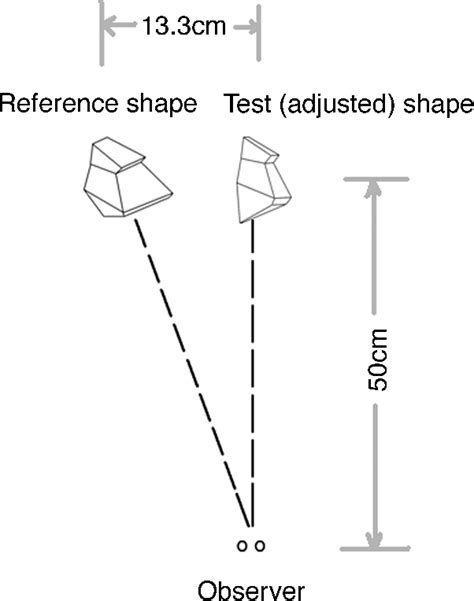 Figure 1 From A Bayesian Model Of Binocular Perception Of 3d Mirror