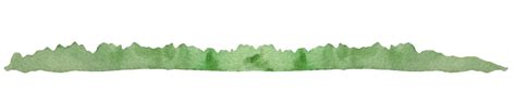 Premium Vector Watercolor Green Grass Isolated On White Landscape