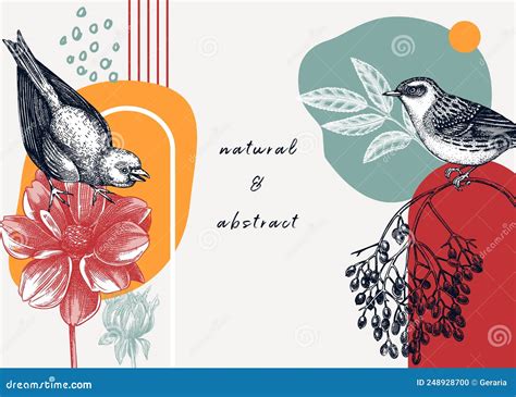 Collage Style Bird Background Sketched Bird Trendy Frame Stock Vector