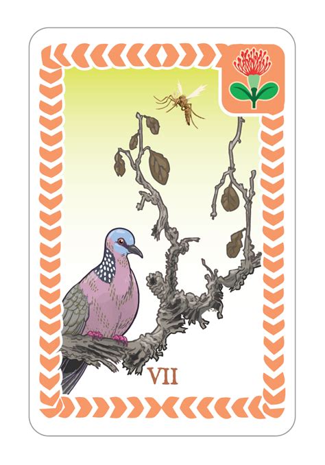 Hhp 02c Hanafuda Hawaii