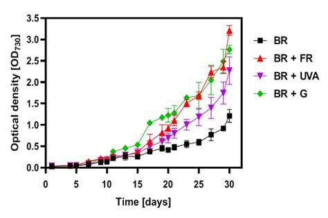 Growth Of The Gloeobacter Violaceus Cultures Under Different Light
