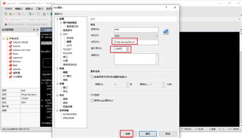 OpenWrt如何公网ssh远程连接内网穿透 cpolar 极点云官网