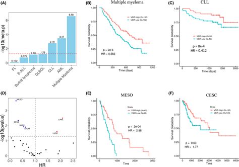 Prognostic Value Of VSIR In Other Blood Cancer Types A Barplot