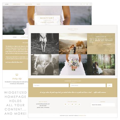 Montfort Wordpress Theme Dinosaur Stew