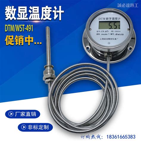 数显温度计wst Dtm491数字高精度耐腐蚀防水带探头带软管工业表虎窝淘