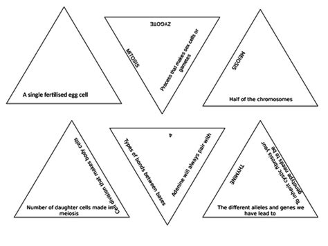 Revision Combined Science Edexcel Biology Papers Teaching Resources