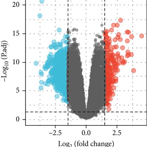 Gene Expression Differential Analysis And Potential Functional