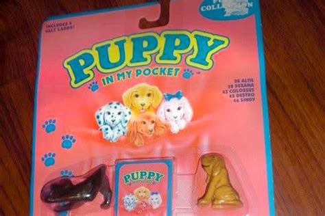 Puppy In My Pocket 90s