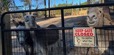 R Lazy S Ranch R Lazy S Ranch Added A New Photo β At R R Lazy S Ranch R Lazy S Ranch Added A New Photo β At R