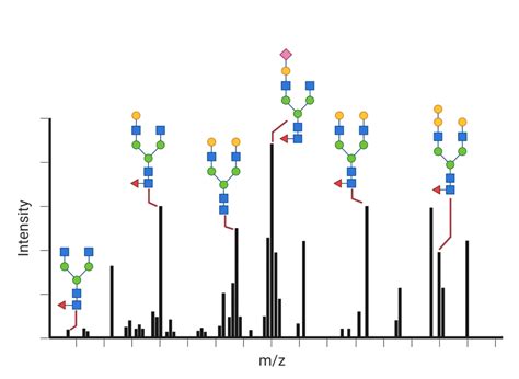 glycan analysis service via lc ms rapid novor characterization