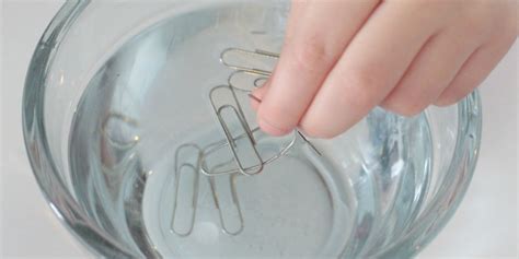 Make A Paperclip Float Science Experiment Raising Lifelong Learners