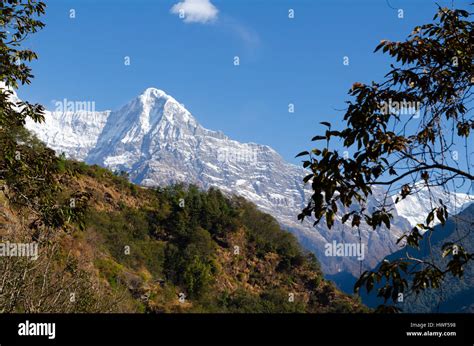 Photos From Travelling Around Beautiful Ghandruk Village Of Nepal Near