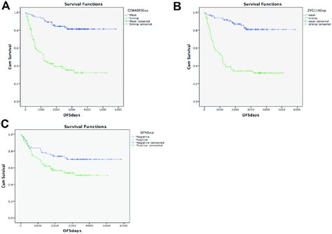 Km Curve Disease Free Survival Depicted As Kaplan Meier Curves Shows
