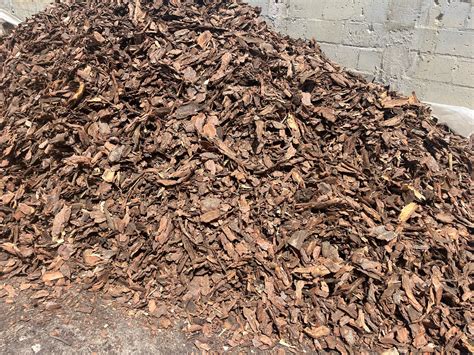 Loose Bark Cube Village Gardens Landscaping