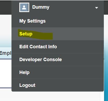 Salesforce Globe For You Salesforce Shorts Enable Disable Setup Menu Feature In Salesforce
