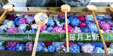 找田慢作 超級無敵海景農地耕作投資炒作 為了落實農地農用，宜蘭縣政府2月宣布暫停發放農民資格、農舍建造執照與農業設施容許