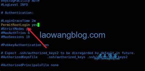 微软云 Azure Linux Vm 虚拟机创建 Root 用户并开启 Root 登录教程 老王博客
