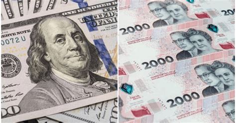 ¿plazo Fijo O Dólar Qué Inversión Fue La Más Rendidora Del Año Y