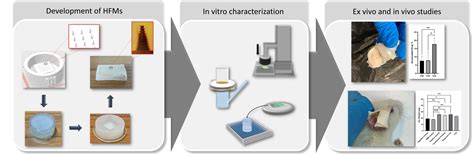 Development And In Vitro In Vivo Evaluation Of Composite Hydrogel Forming Microneedles