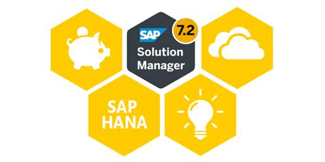 Tebyon Consulting SAP SOLMAN
