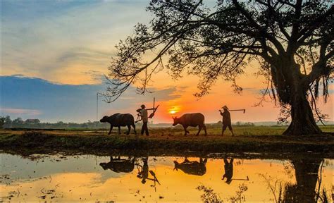 Ảnh đẹp Việt Nam Những Hình ảnh đất Nước Con Người Việt Nam Tươi đẹp
