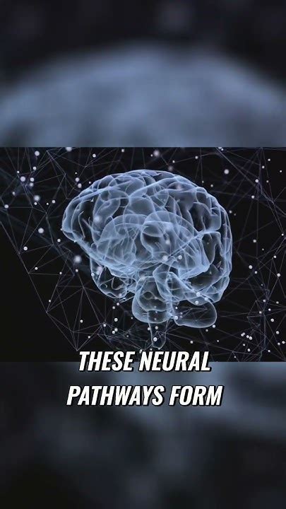 Uncover The Power Of Neural Pathways How Beliefs Shape Our Actions Youtube