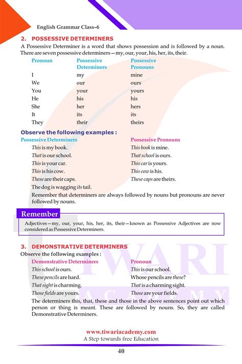 Class 6 English Grammar Chapter 9 Determiners With Examples