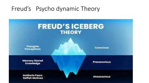 Solution Psychodynamic Perspective Studypool