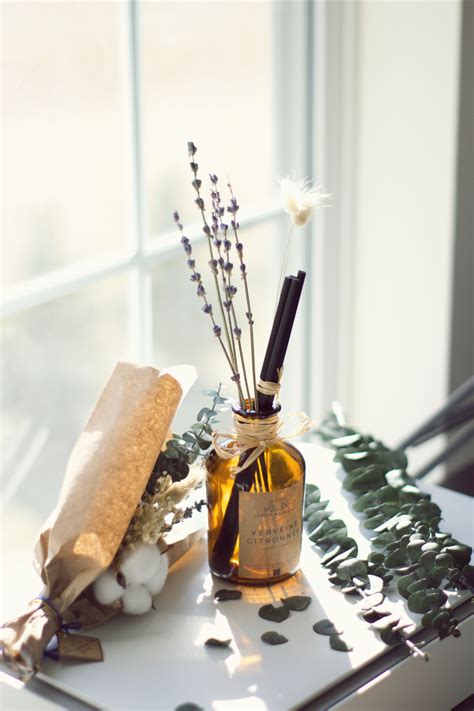 Preserved Flower Reed Diffuser W Lavender Lemon Verbena Reed