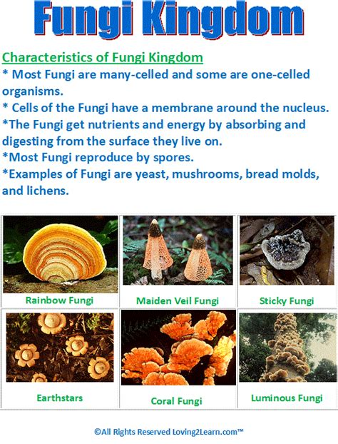 Super Subjects Super Science Life Science Kingdoms Fungi Kingdom