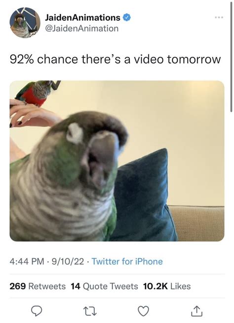 Jaiden Animations 3d Model The Model Is Also Public For People To Use R Jaidenanimations