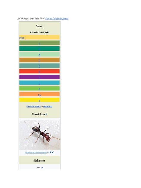 Fakta Menarik Tentang Semut Pdf Dewasa Muda