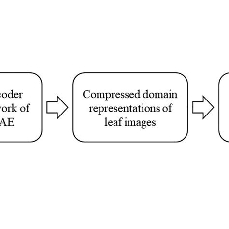 Pdf Plant Disease Detection Using Hybrid Model Based On Convolutional