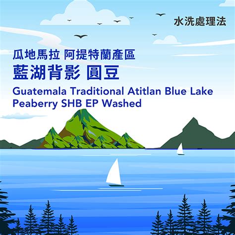 瓜地馬拉 阿提特蘭產區 藍湖背影 圓豆【水洗處理】 豐潤股份有限公司