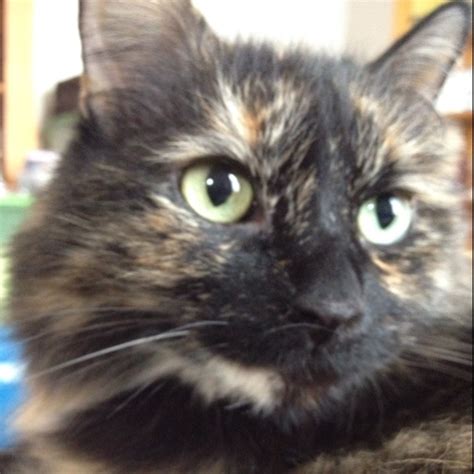 Kiki My Princess